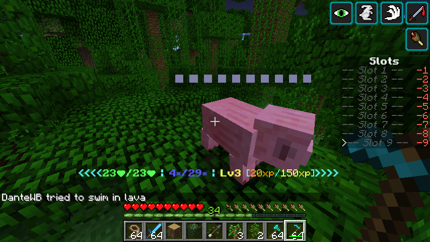 The Matrix Network Minecraft Server