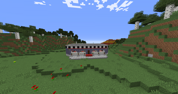 The World Minecraft Map