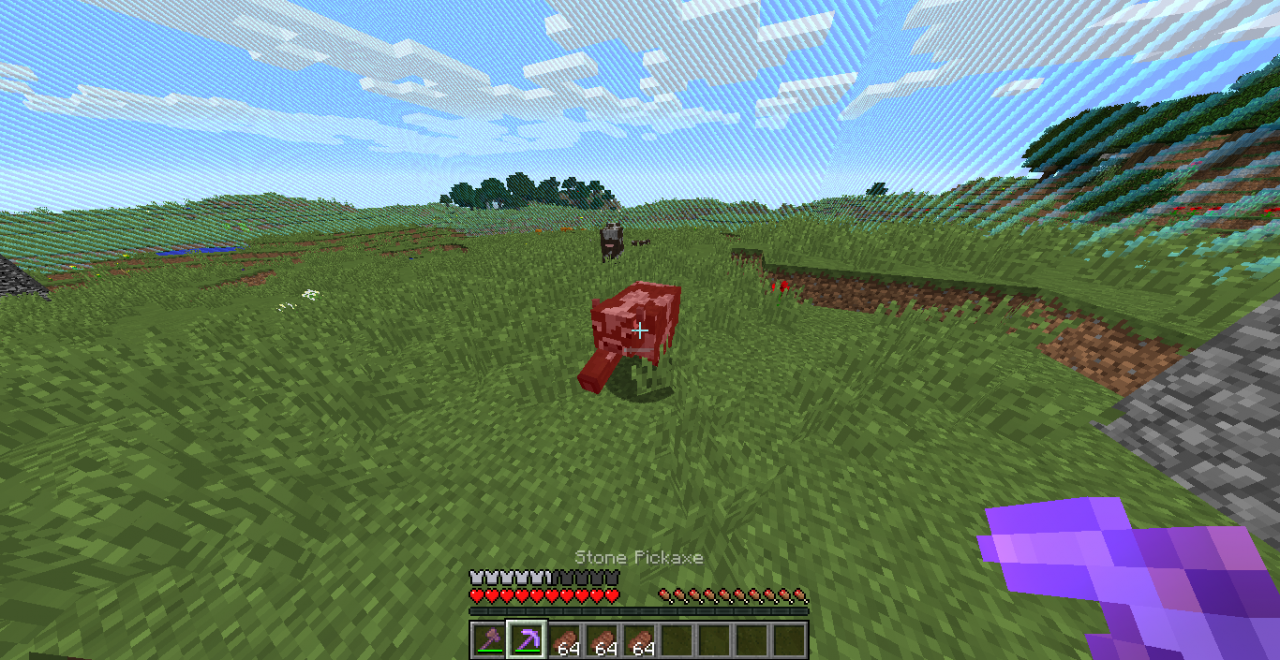 Survive in the BORDERS!!! Minecraft Map