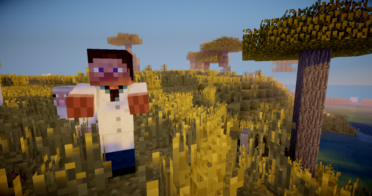 Elemental Mod 1.12.2 Minecraft Mod