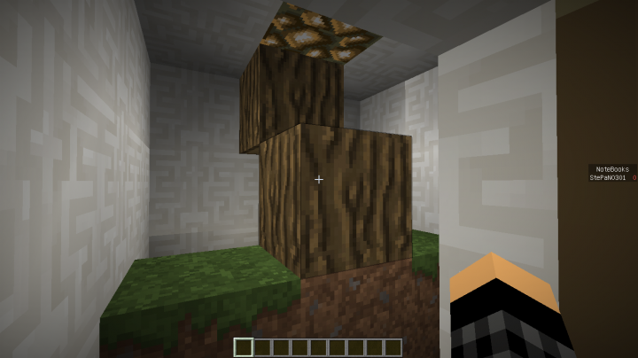 Baldi basics in education and learning 1.12.2 Minecraft Map