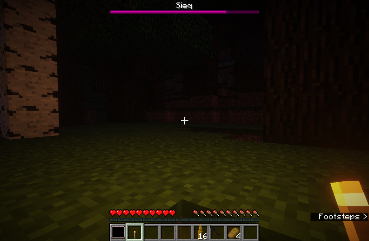 Find the Entity Minecraft Map