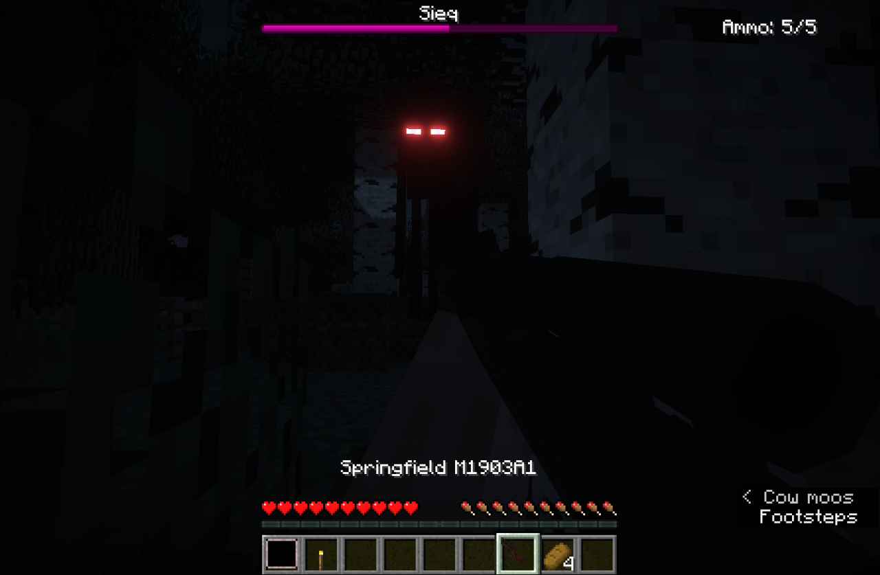 Find the Entity Minecraft Map