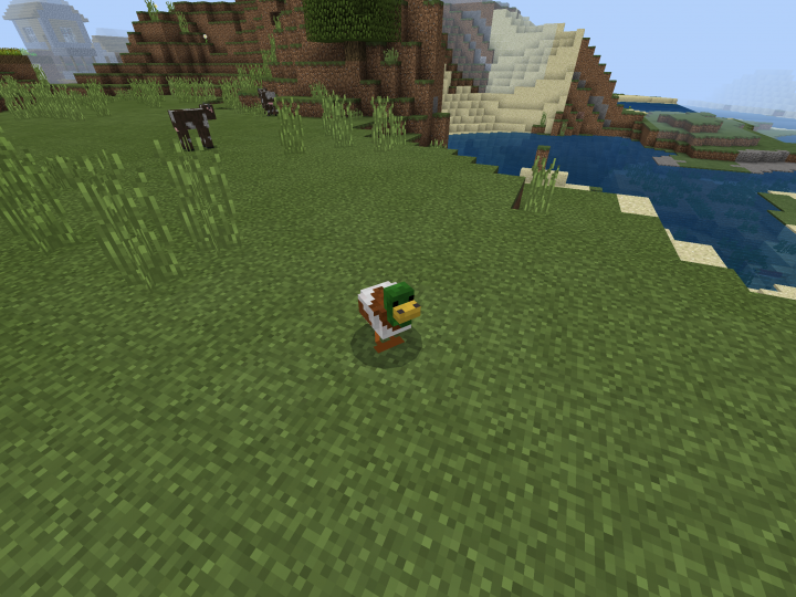 Duck Addon Minecraft Texture Pack