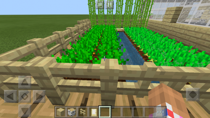 Simple survival birch house Minecraft Map