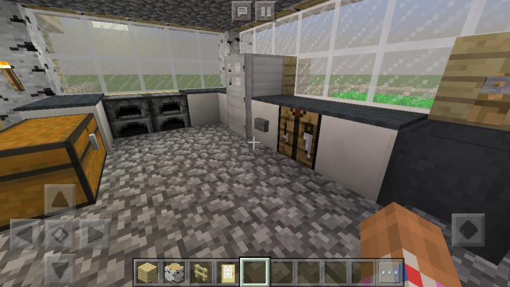 Simple survival birch house Minecraft Map