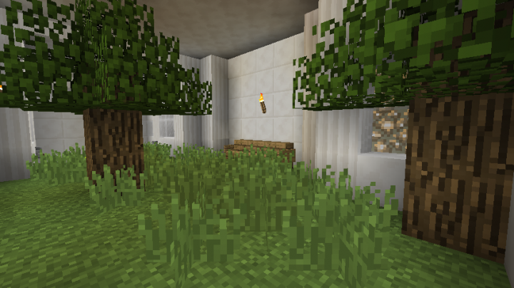 Adventure House Minecraft Map