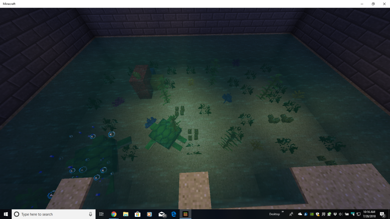 Turtle Hatching Minecraft Map