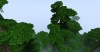 Custom Jungle Map. Minecraft Map