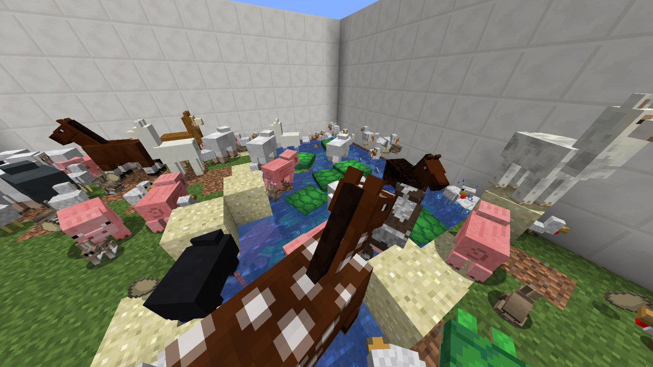 Find it! Minecraft Map