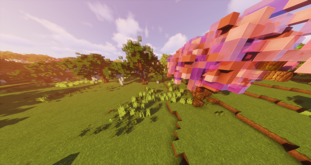 2000x2000 Custom terrain: 3 biomes Minecraft Map