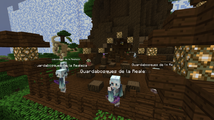 RPG Adventure Fantasy Map Minecraft Map