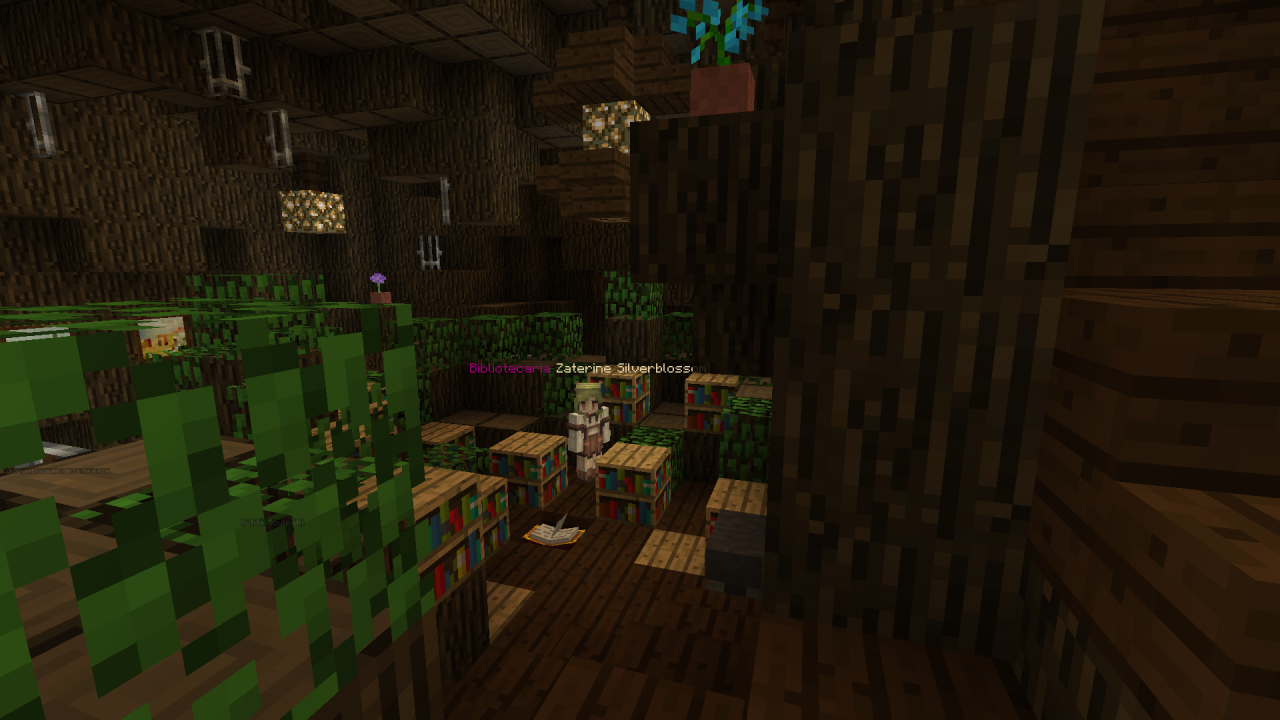 RPG Adventure Fantasy Map Minecraft Map