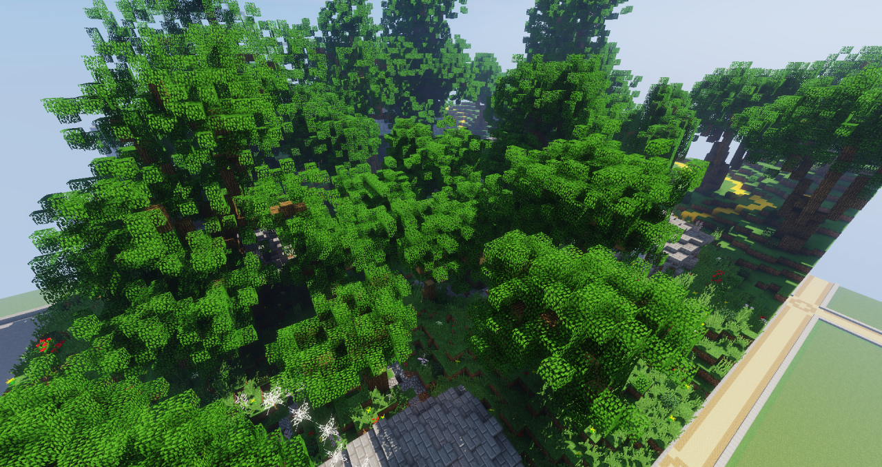 Mountain Track Minecraft Map