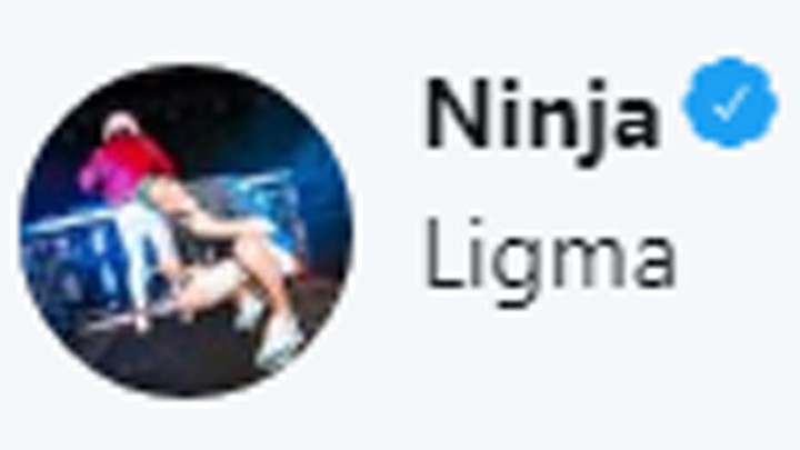 LIGMA Minecraft Server