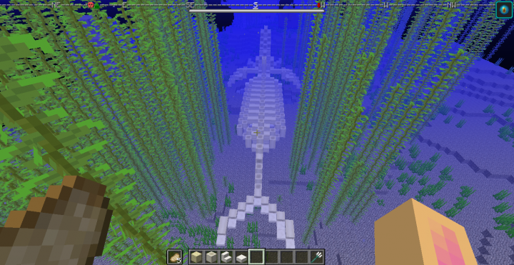 Whale Skeleton (Part of Siren's Cove build) Minecraft Map