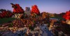 Mushroom Plot Build Minecraft Map