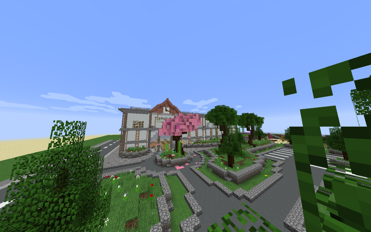Town/School project Minecraft Map