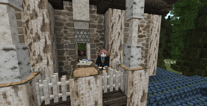 Witch House Minecraft Map