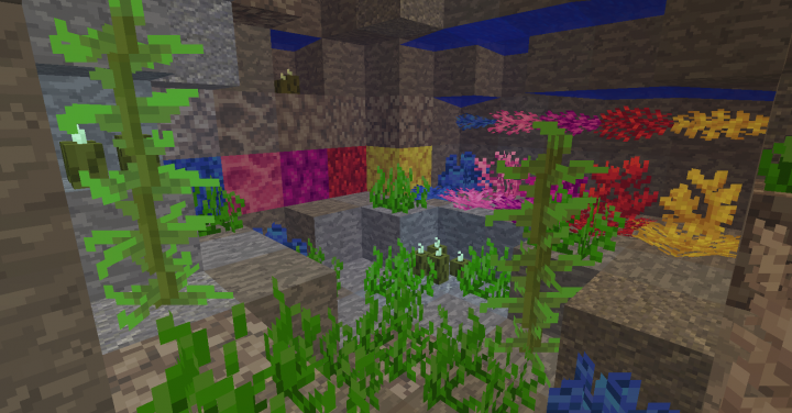 ResourcePack Map Reviewer Minecraft Map