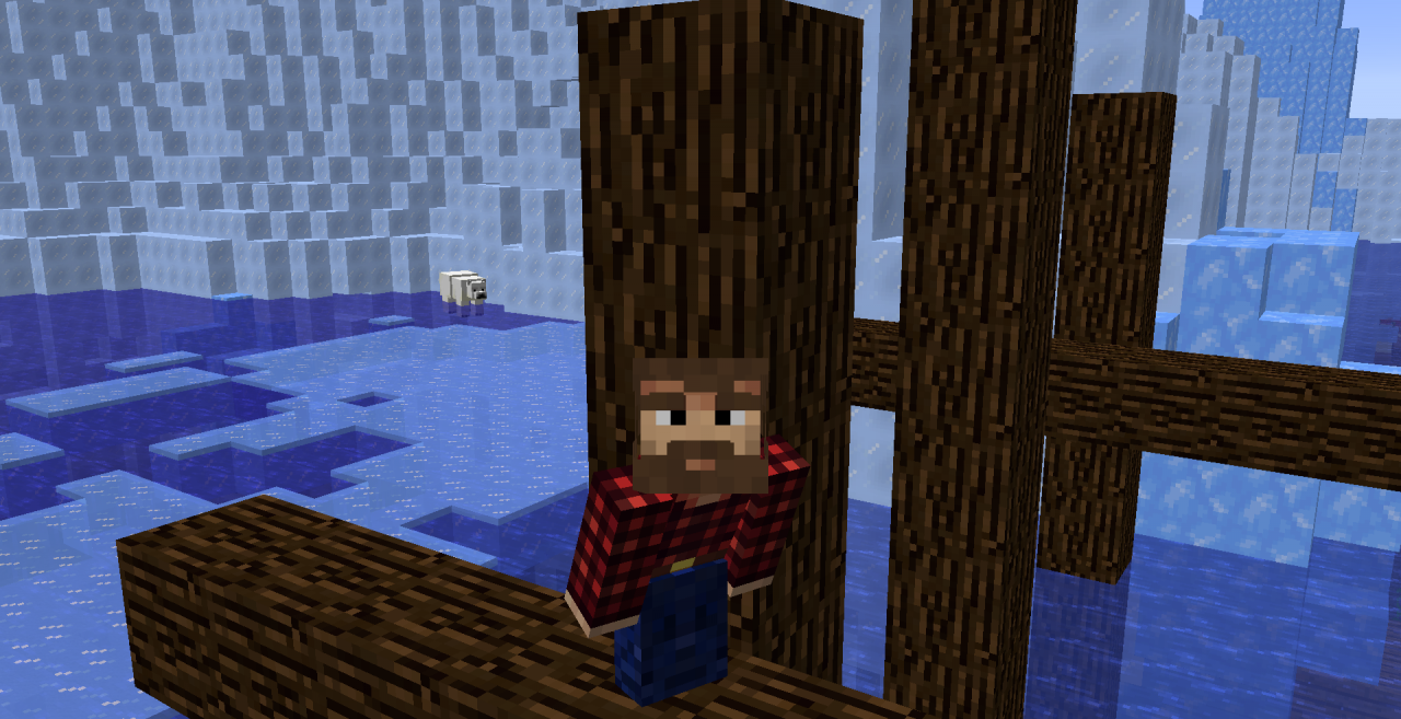 BridgeCraft Minecraft Server