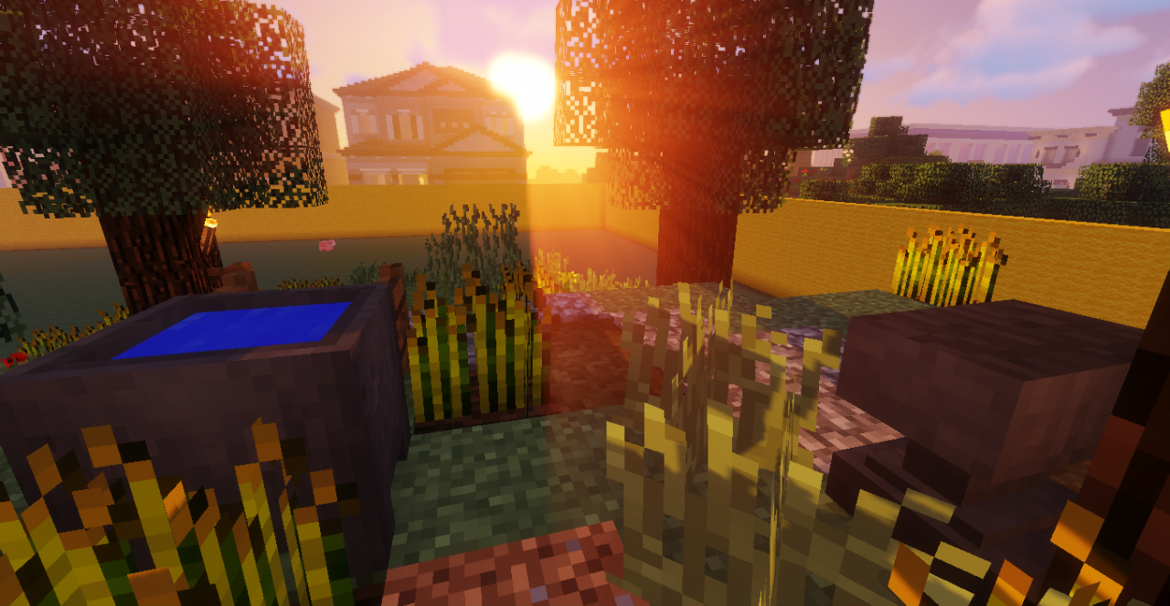 Modern/Medieval Park (Center and Fort/Castle) Minecraft Map