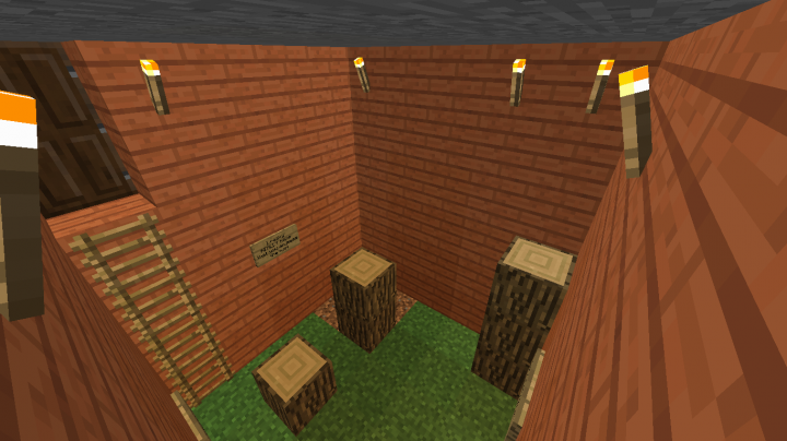 A Beginner's Guide To Minecraft Minecraft Map