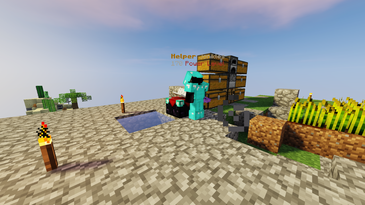 SkyPlus Minecraft Server