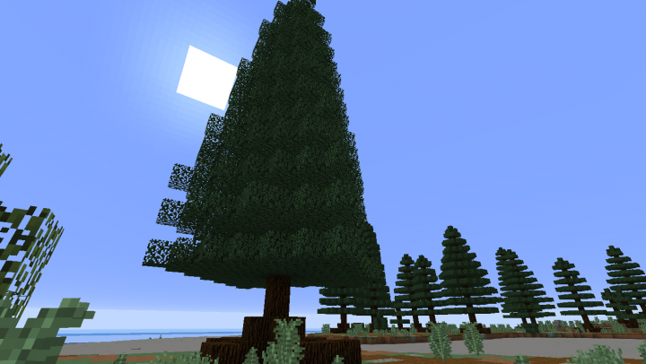 North Shore Tree and Ice pack Minecraft Map