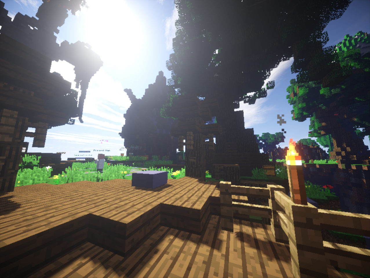 Bloxr MC Minecraft Server