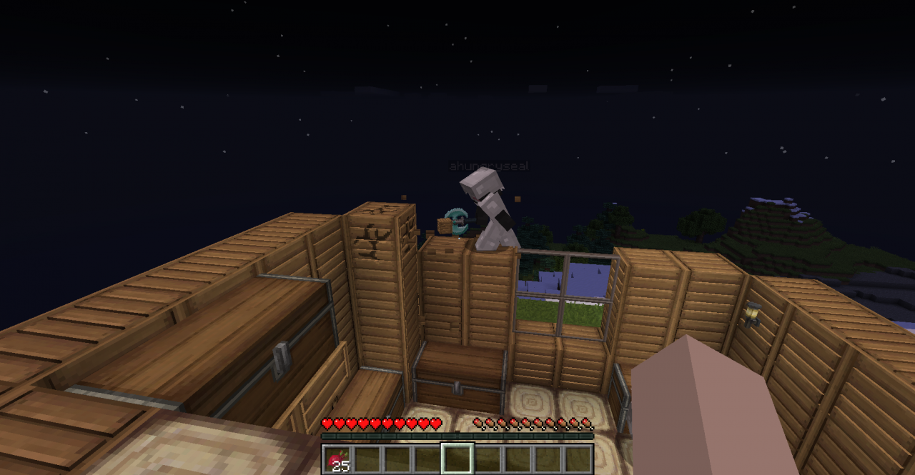 grounded Minecraft Server