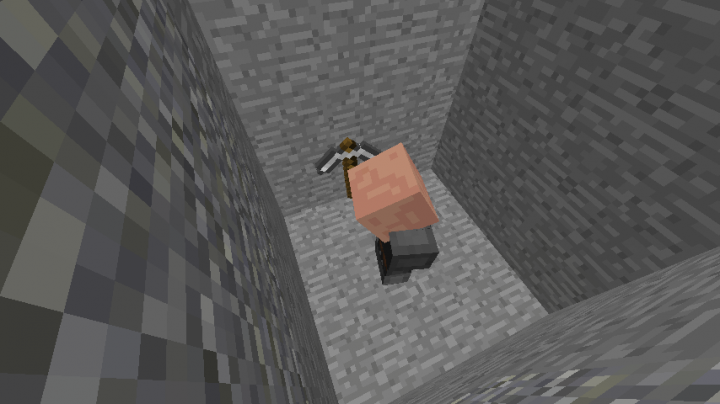 The Miner Villager Minecraft Map