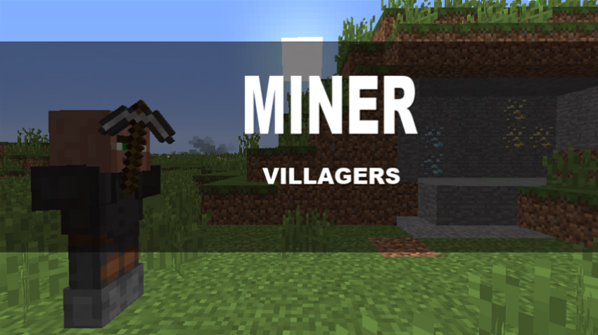 The Miner Villager Minecraft Map