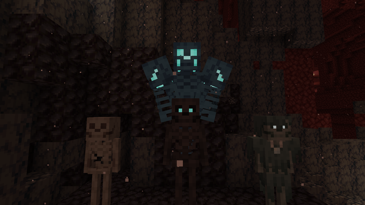 Withered Bones - Skeleton and Wither Texture Overhaul Minecraft Texture ...
