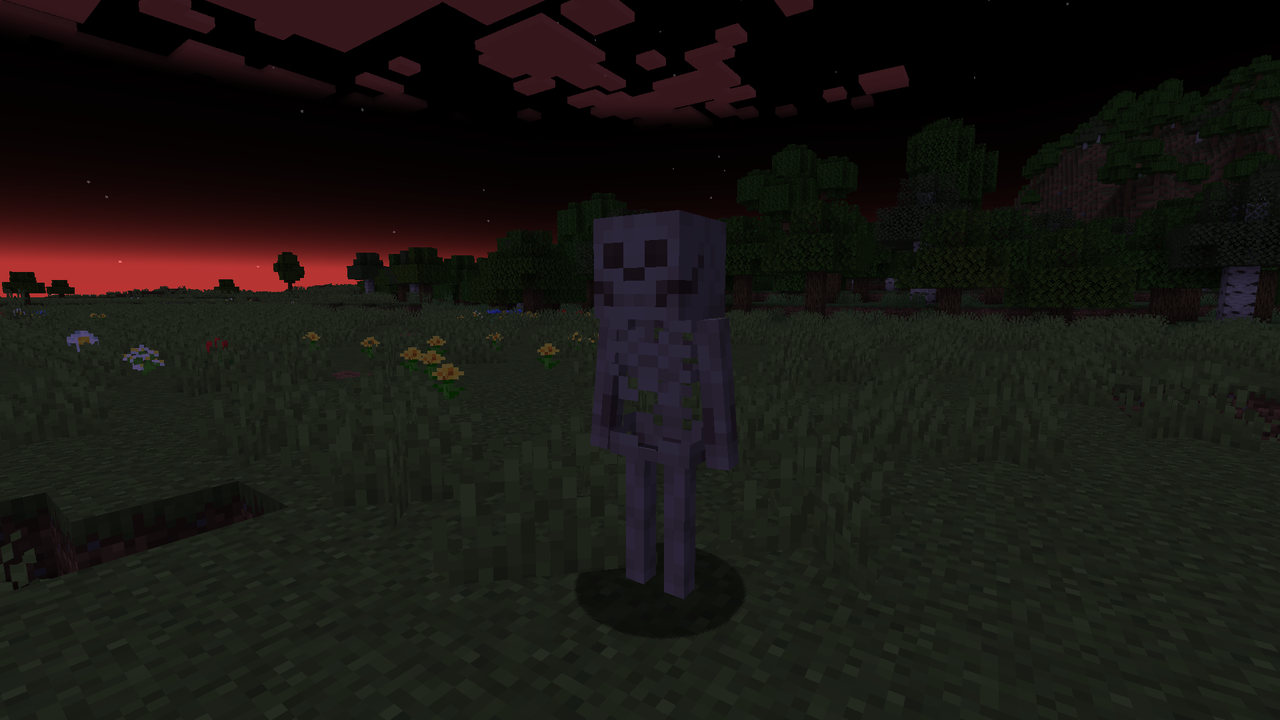 Withered Bones - Skeleton and Wither Texture Overhaul Minecraft Texture ...