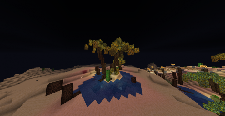 Small Oasis Desert Pool Minecraft Map