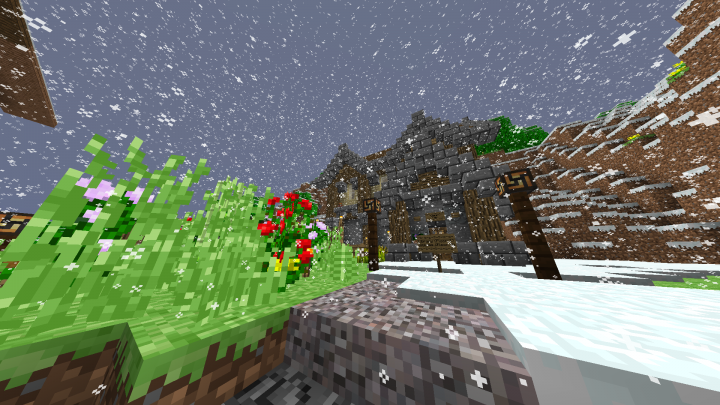 256 Minecraft Server