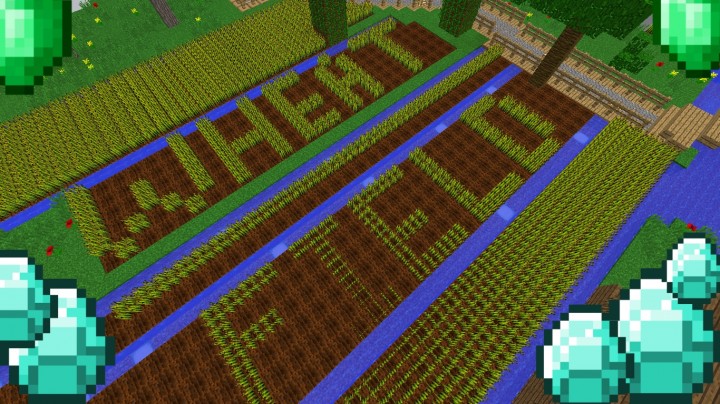 WheatField Minecraft Server