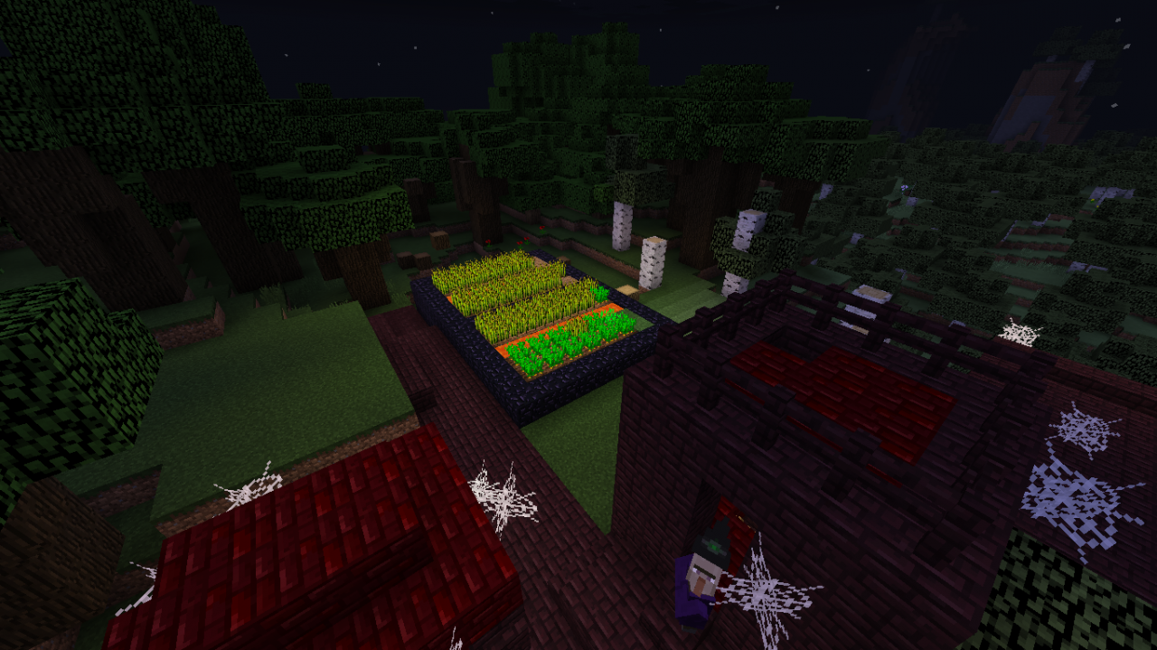 Witch Village Minecraft Map