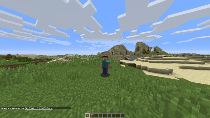 big GIANT Minecraft Map