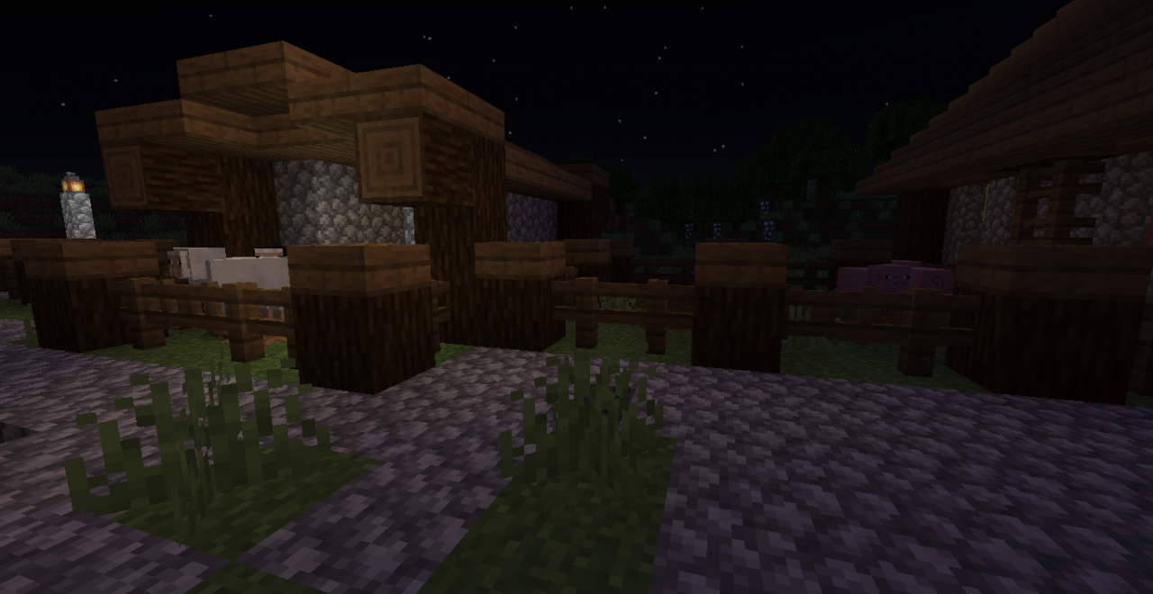 Village Minecraft Map