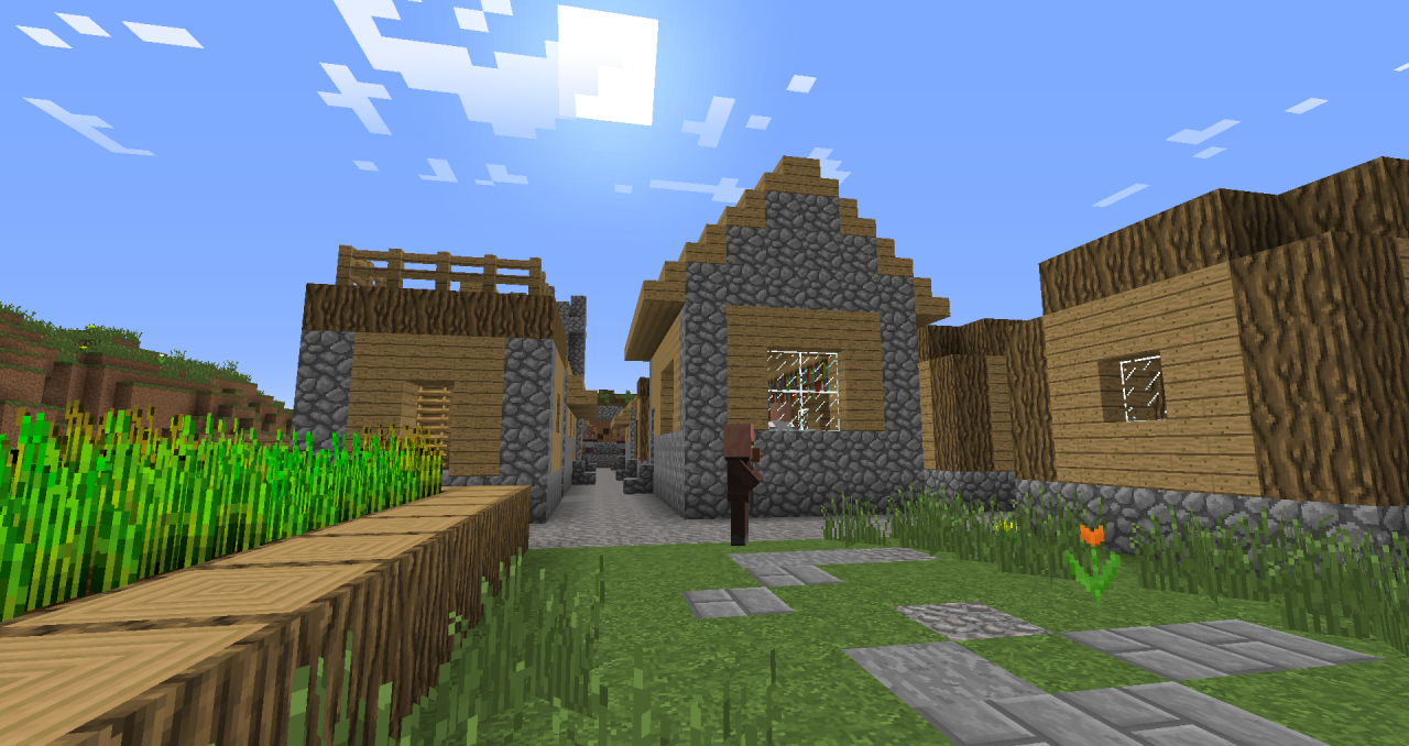 Fields and Village Minecraft Map