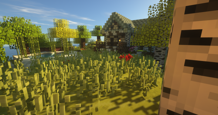 Mini Biome with Cottage Minecraft Map