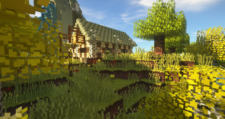 Mini Biome with Cottage Minecraft Map