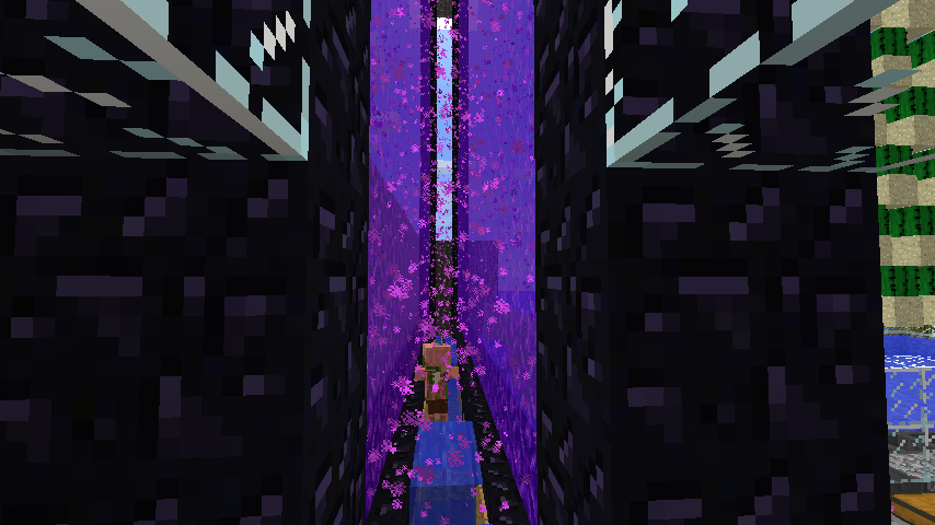 Nether Portal Farm Minecraft Map