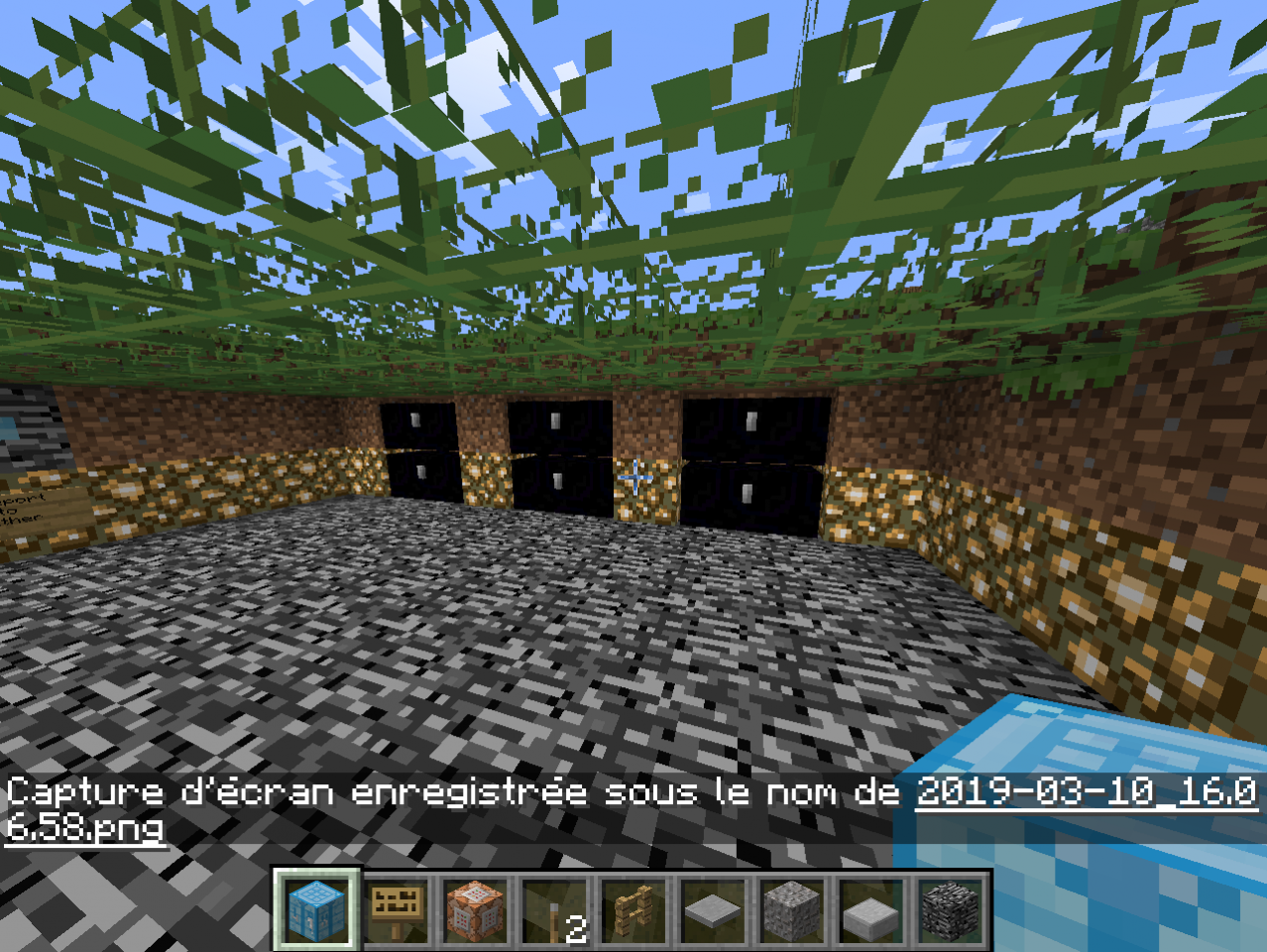 secret house lab Minecraft Map