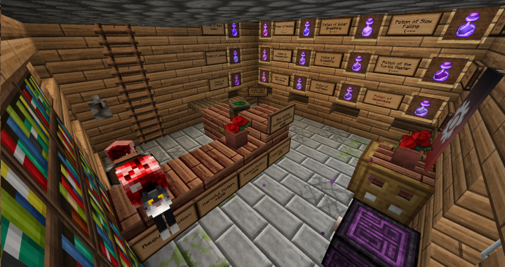 "Witchcraft & Potions" Store Minecraft Map