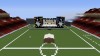 LIVE AID MINECRAFT Minecraft Map