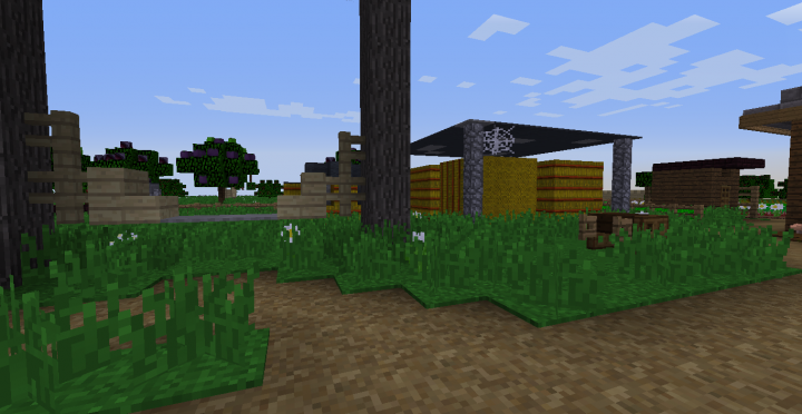 My home in 1990 Minecraft Map