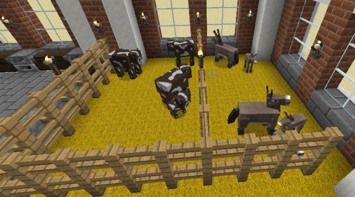 Pet Shop Minecraft Map